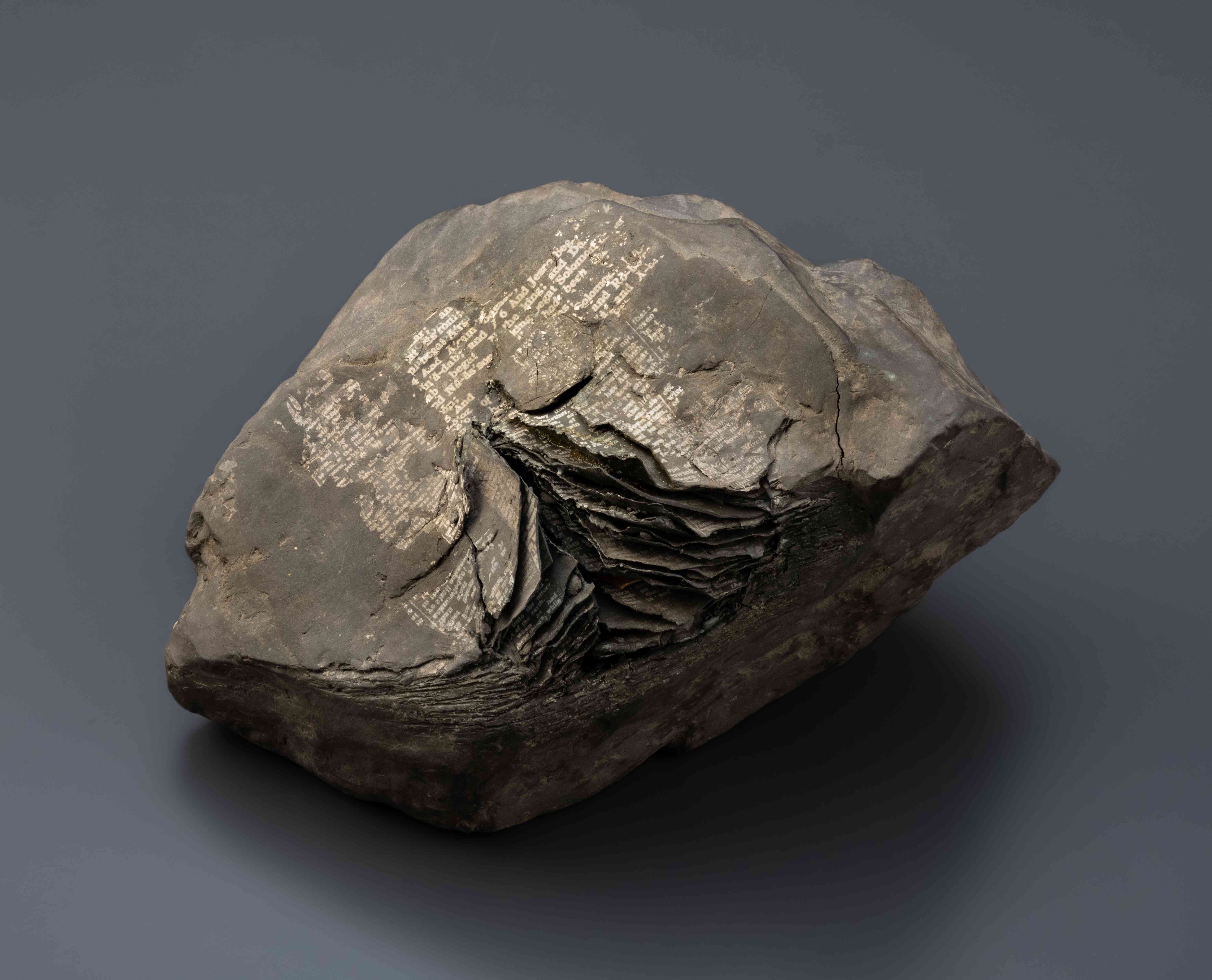 Takako Araki’s decaying Bibles – idl art consulting
